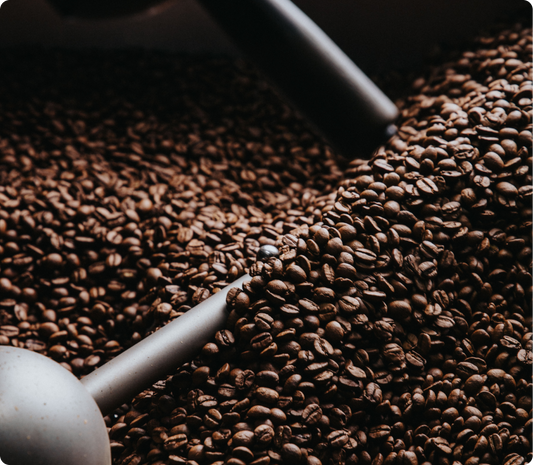 Flava at world of coffee 2025